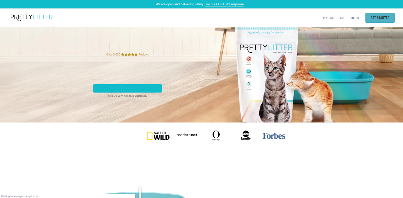 10 Shopify Blog Examples to Model Your Own Store After | Ranq